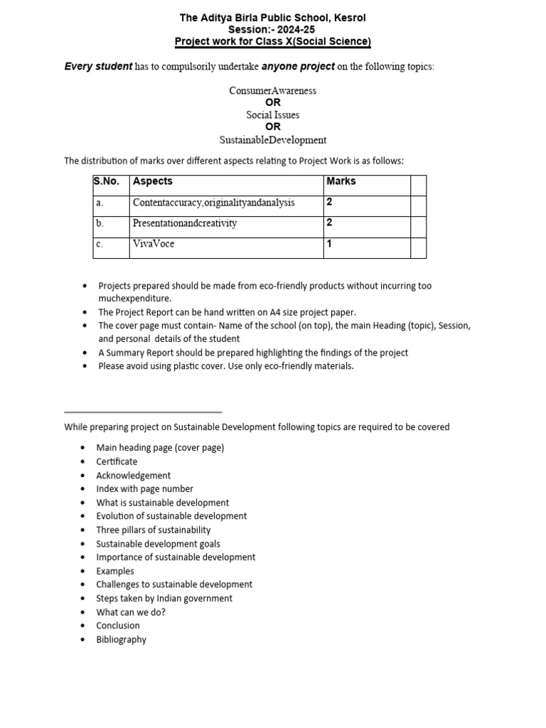 Project Work - Class X - SST | PDF