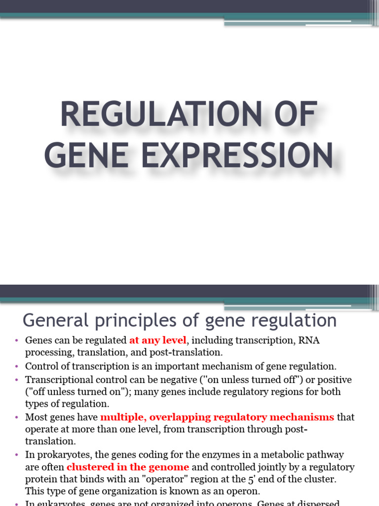 GENETICS Chapter 10- From Gene to Protein - Regulation of Gene ...