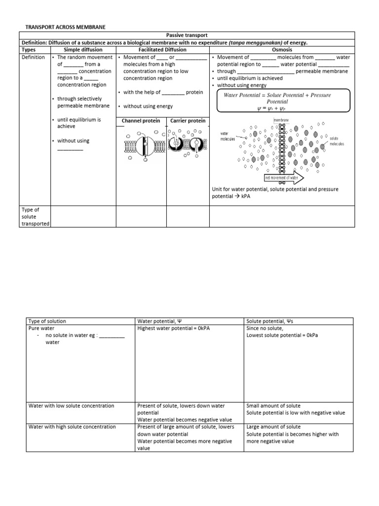 Transport Across Membrane | PDF | Cell Biology | Biology