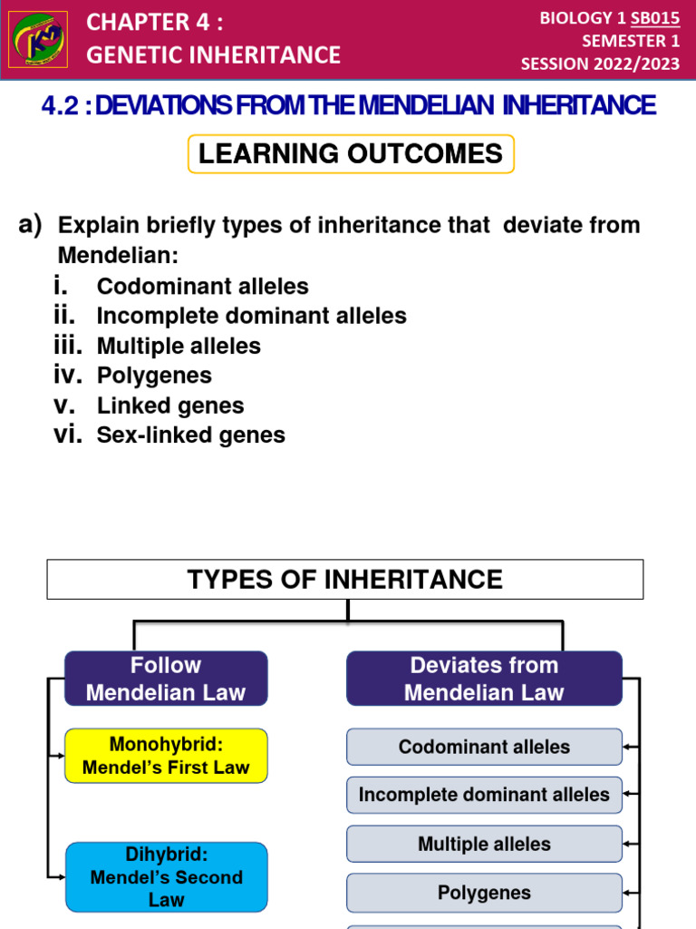 4.2 Deviations From The Mendelian Inheritance | PDF | Dominance ...