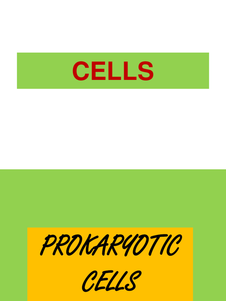 BIO 1400 Cells | Download Free PDF | Endoplasmic Reticulum | Cell (Biology)