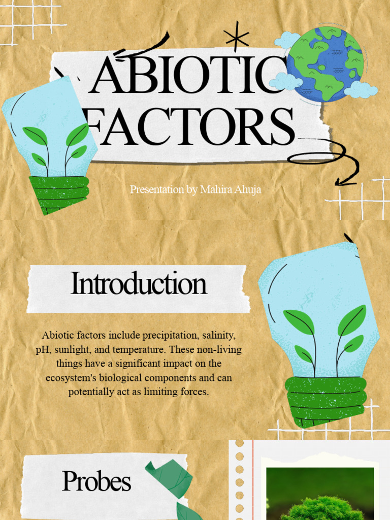 ESS_Abiotic Factors_Presentation | PDF | Flow Measurement | Physical ...