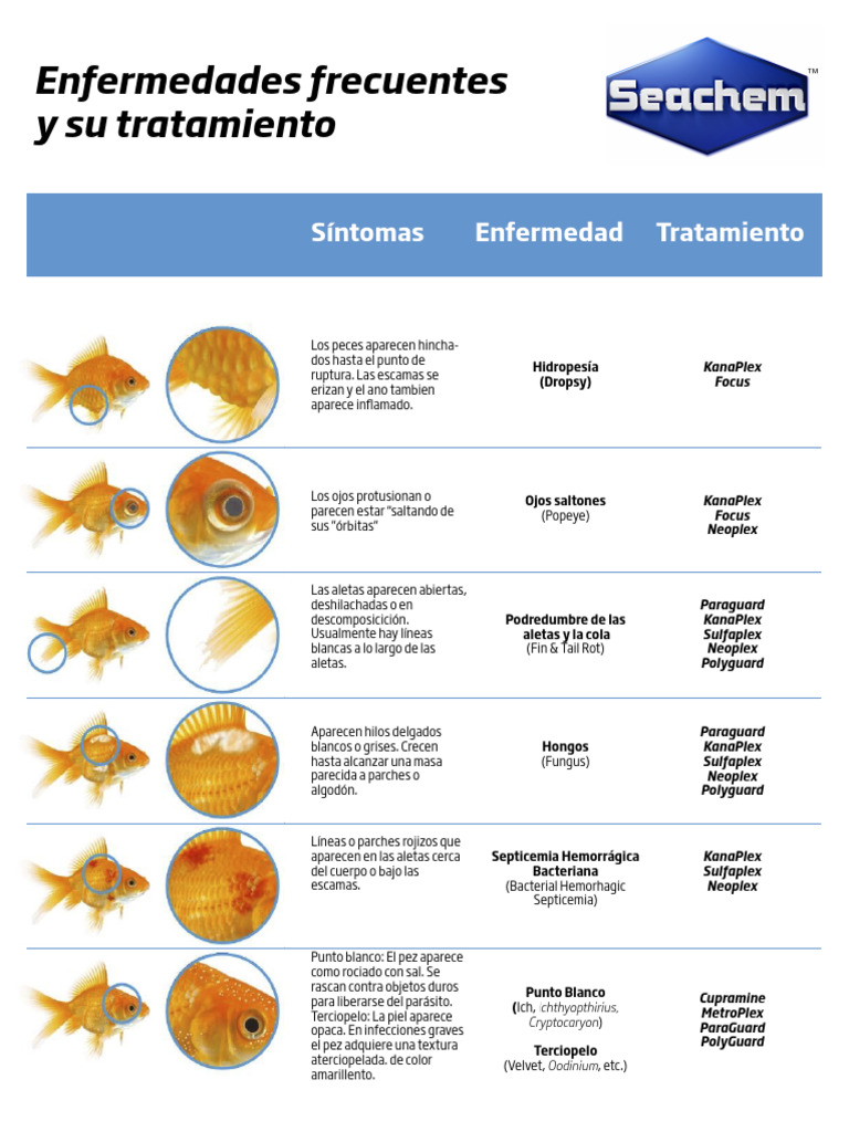 Diagnostico Enfermedades Seachem Poster Paraguard | PDF | Inmunología ...