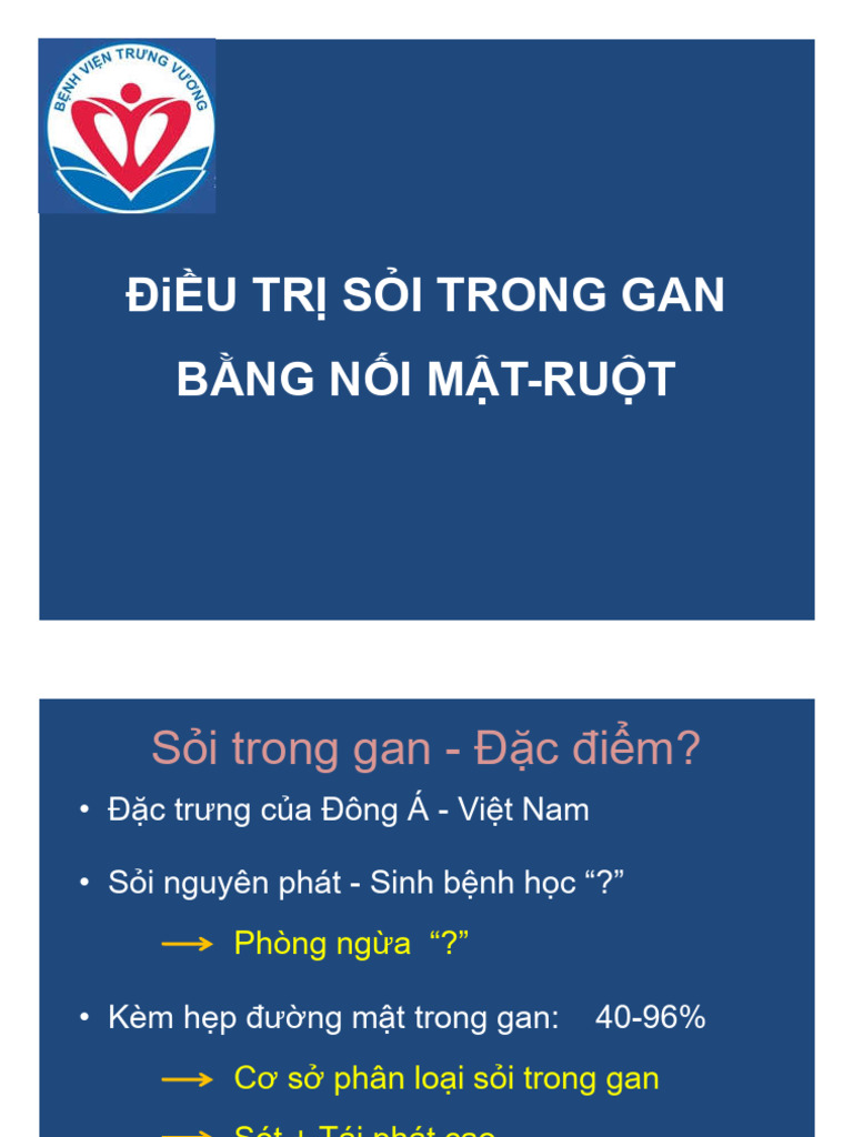 Billio-Enteric For Treatment of Hepatolithiasis - Vietnamese | PDF