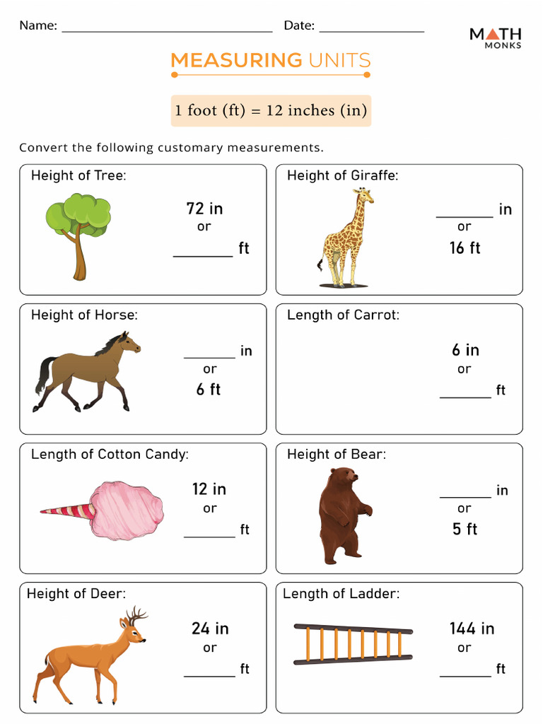 Measurement Facts Worksheet | PDF