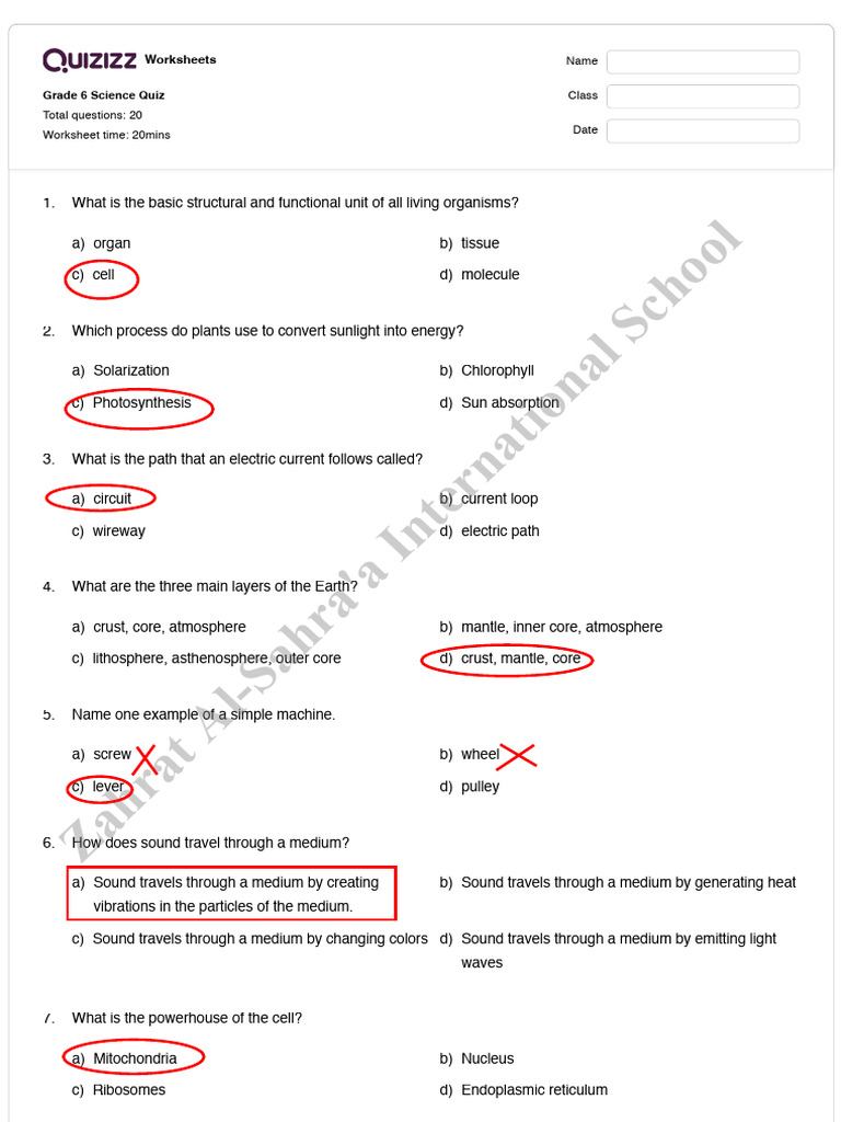 Grade 6 Science Quiz | PDF | Photosynthesis | Cell (Biology)