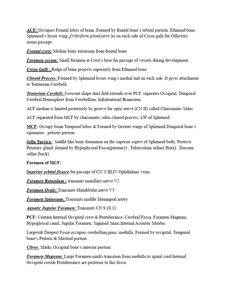 Anatomy Fossa | Download Free PDF | Skeletal System | Anatomy