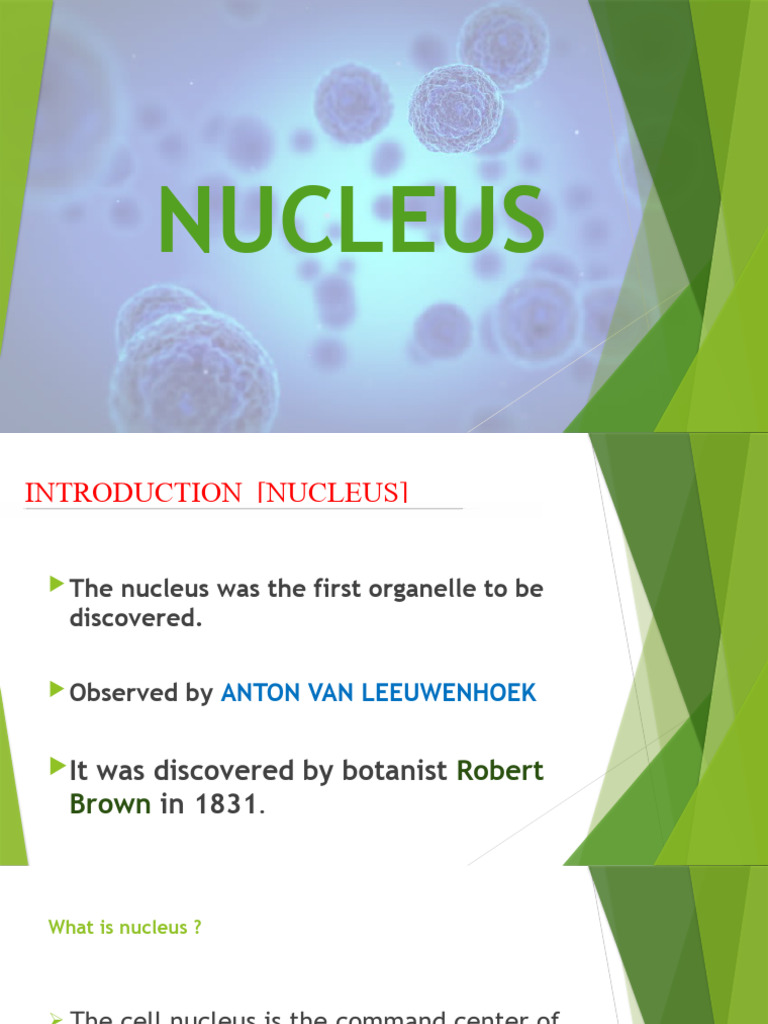 Nucleus Patel Divy-1 | PDF