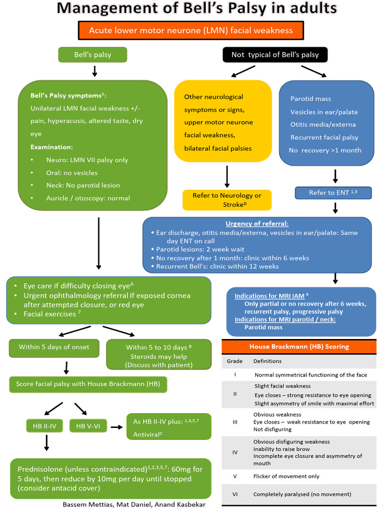Bells Palsy Guidelines Ent Uk99 | PDF | Surgical Specialties | Otorhinolaryngology