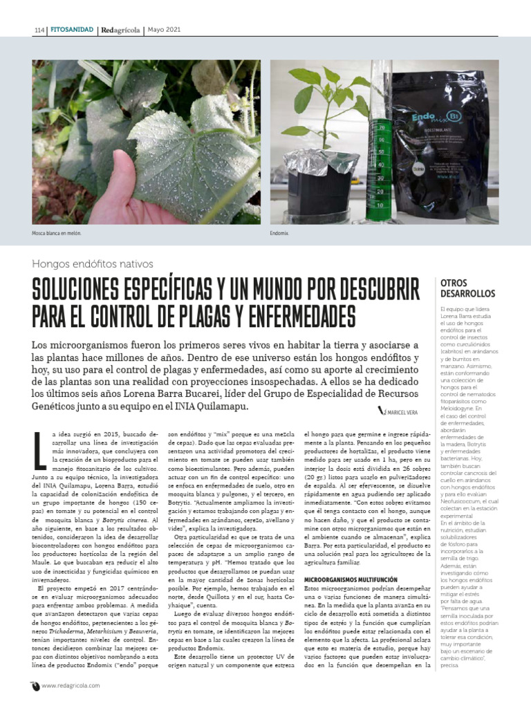 Articulo hongos endofitos | PDF | Control biológico de plagas | Agricultura