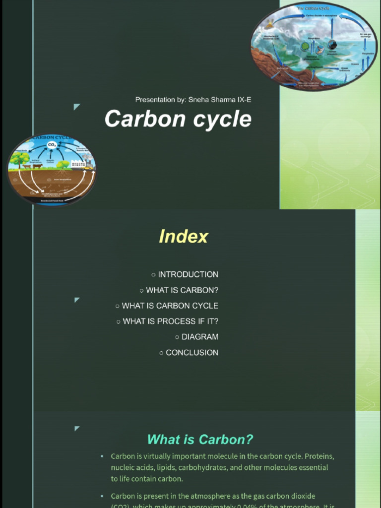 Carbon Cycle Presentation Class IX | PDF | Carbon Cycle | Carbon Dioxide