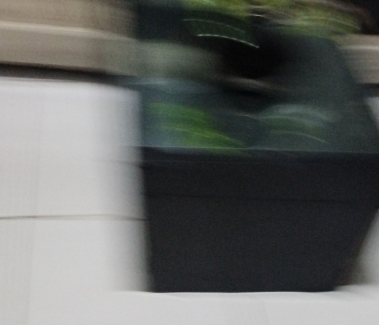 Digitalizado 20240608-1952 | PDF