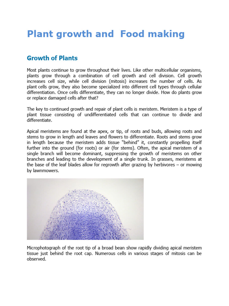Plant Growth and Development | PDF | Photosynthesis | Chloroplast