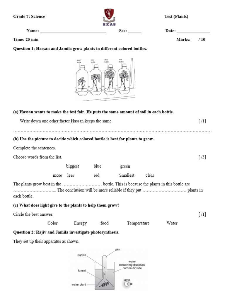 Chapter 1 Plants | PDF | Games & Activities | Teaching Methods & Materials