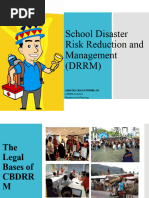 NDRRMC Memo No. 147 S 2017 Guidelines in The Conduct of LDRRMP Review | PDF