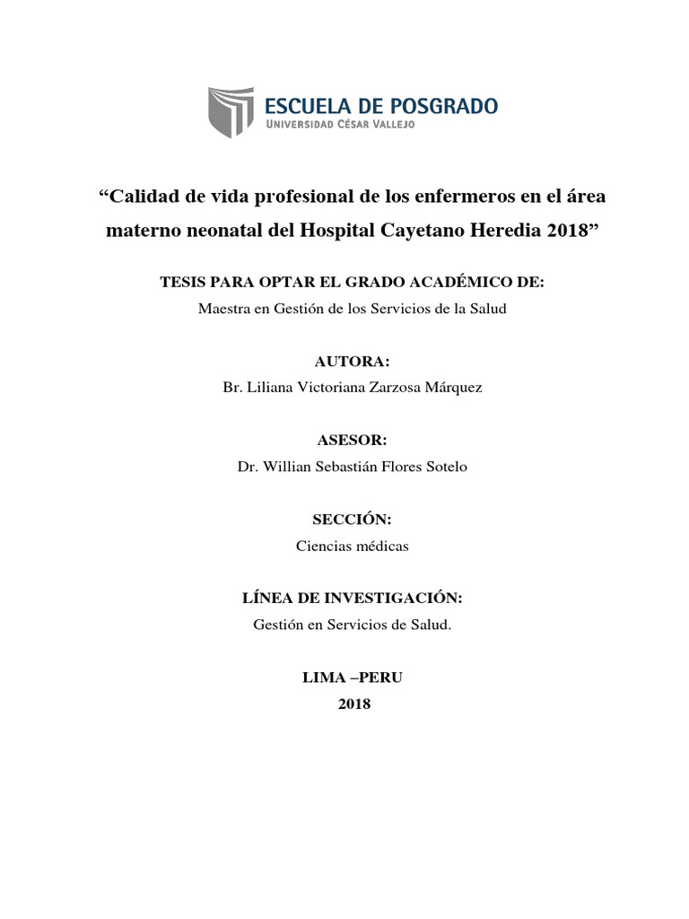 Zarzosa - MLV CV en Prof Enf Cayetano 2018 | PDF | Enfermería | Gestión ...