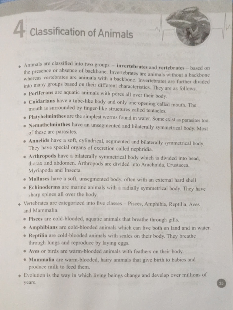 biology workbook | PDF | Invertebrate | Mollusca