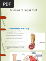 Netter's Anatomy Coloring Book | PDF