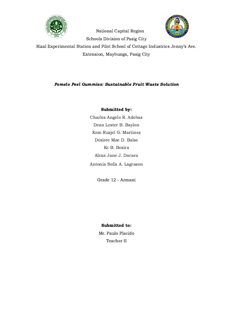 Example of Concept Paper | PDF | Survey Methodology