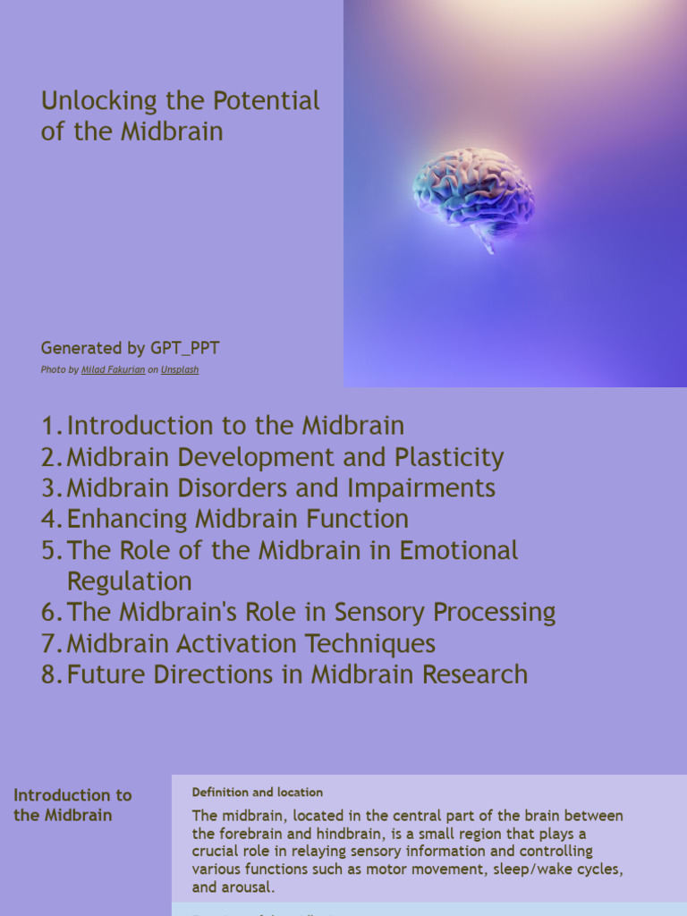 Mid Brain | PDF | Brain | Emotional Self Regulation