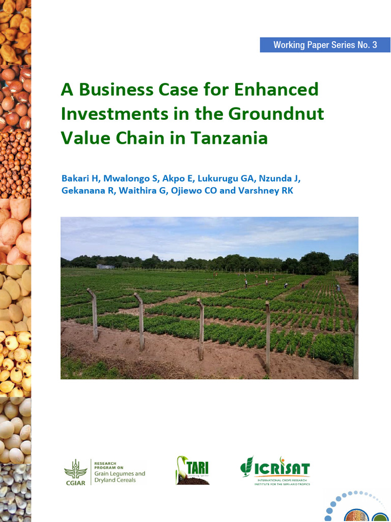 Tanzania Groundnut Value Chain Investment | PDF | Agriculture | Peanuts