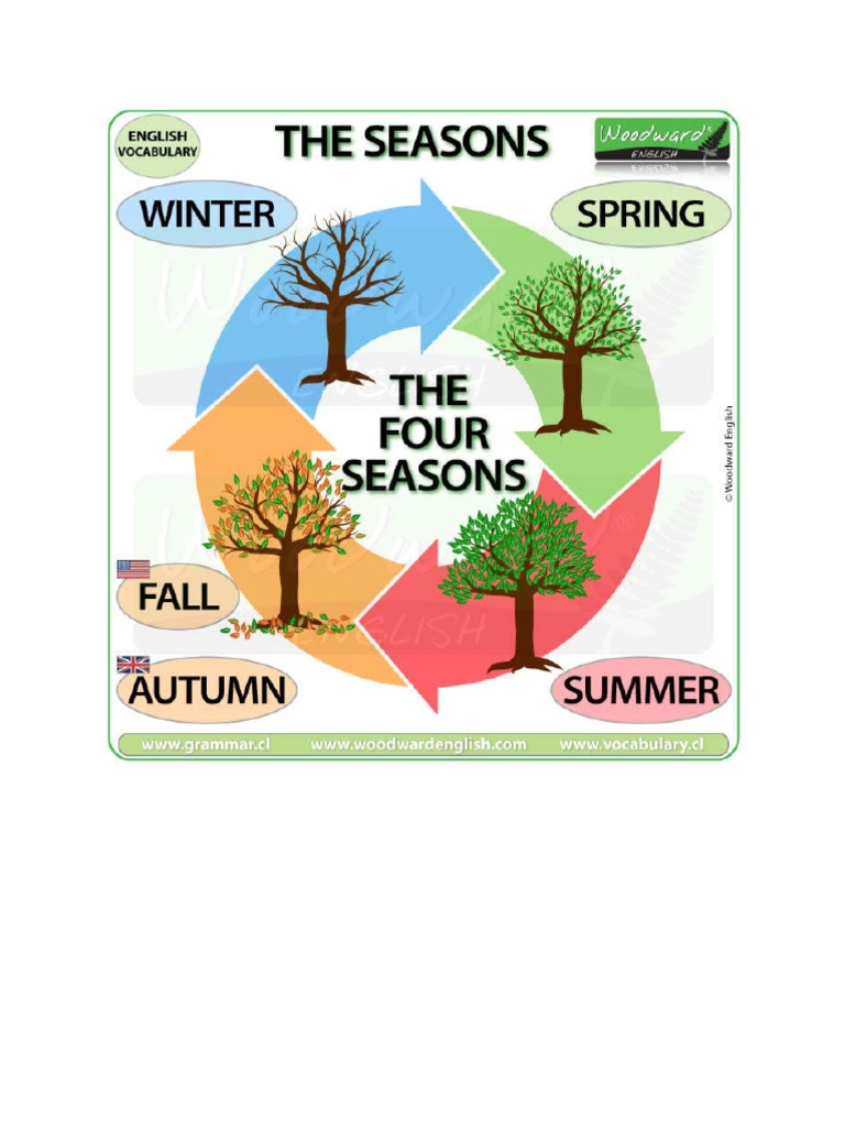 Seasons + Months of The Year | PDF