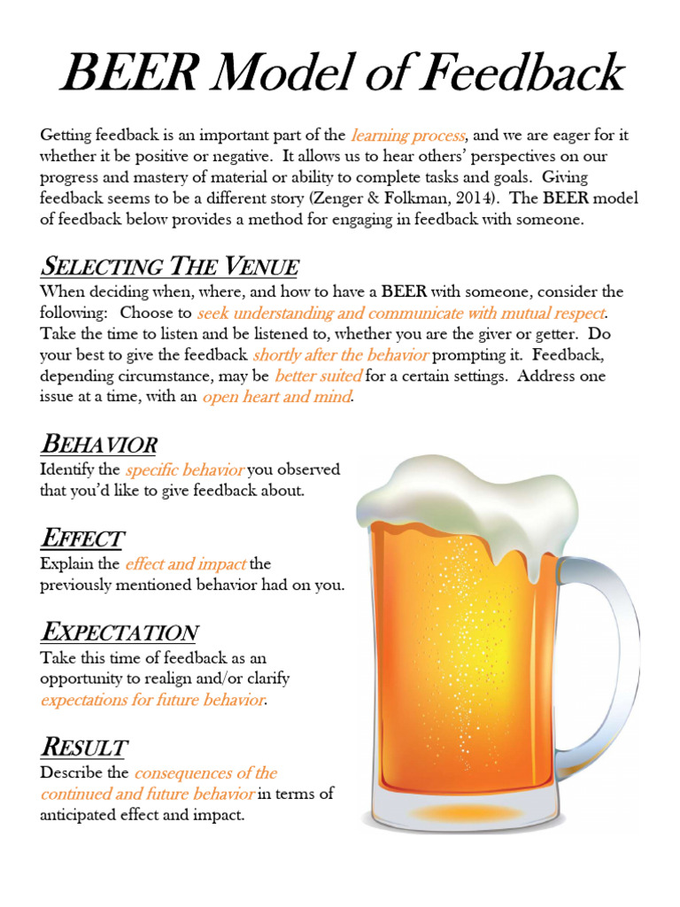 BEER Model of Feedback | PDF