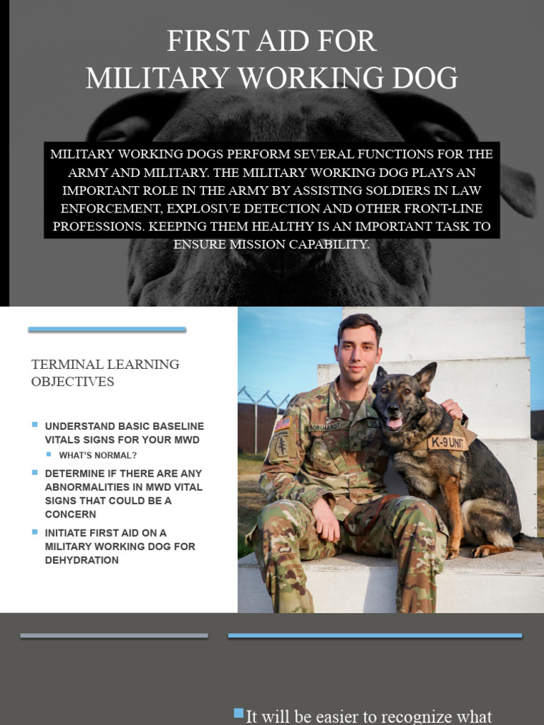 SPC PABITO - First Aid For Military Working Dogs | PDF | Pulse | Medical Specialties