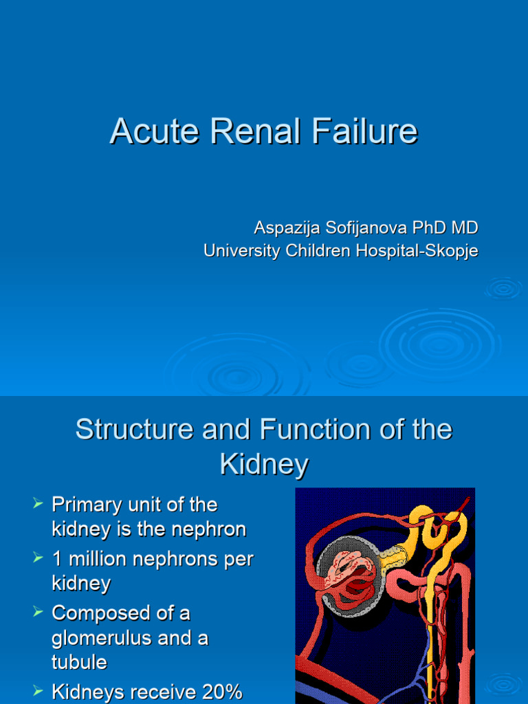 Acute-Renal-Failure Aspazija Sofijanova | PDF | Kidney | Genitourinary ...