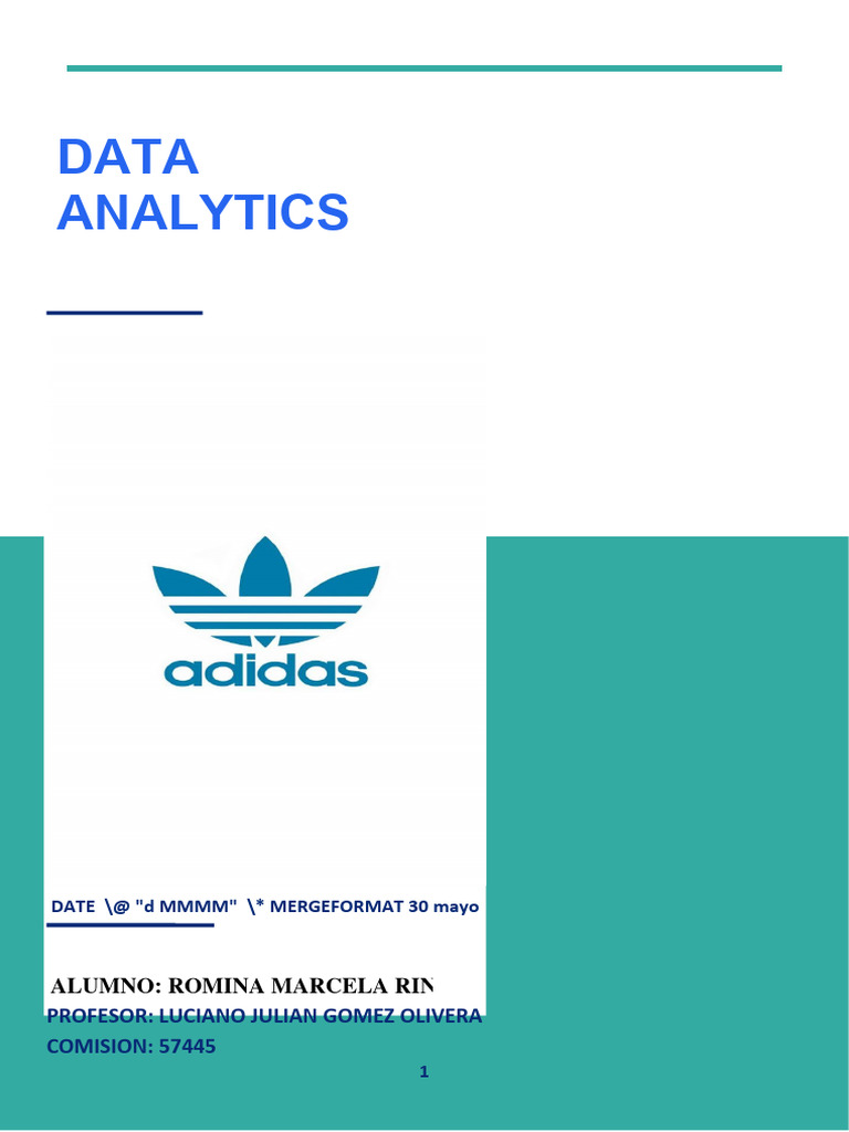 Rubrica 1 Data Analytics | PDF | Análisis de los datos | Business