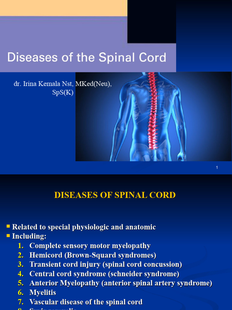 BMS2 K10 Spinal Cord Disease | PDF | Vertebral Column | Spinal Cord