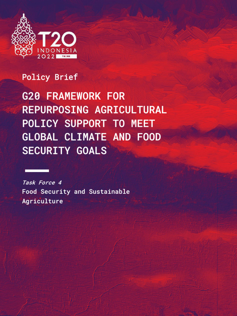 TF4 G20 Framework For Repurposing Ag and Food Policy Support | PDF ...