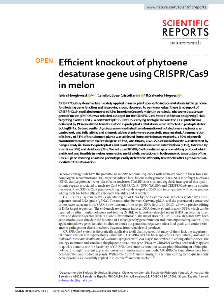 Efficient Knockout of Phytoene Desaturase Gene Using CRISPRCas9 in ...