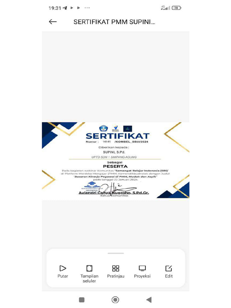 Supini Webinar 2 | PDF