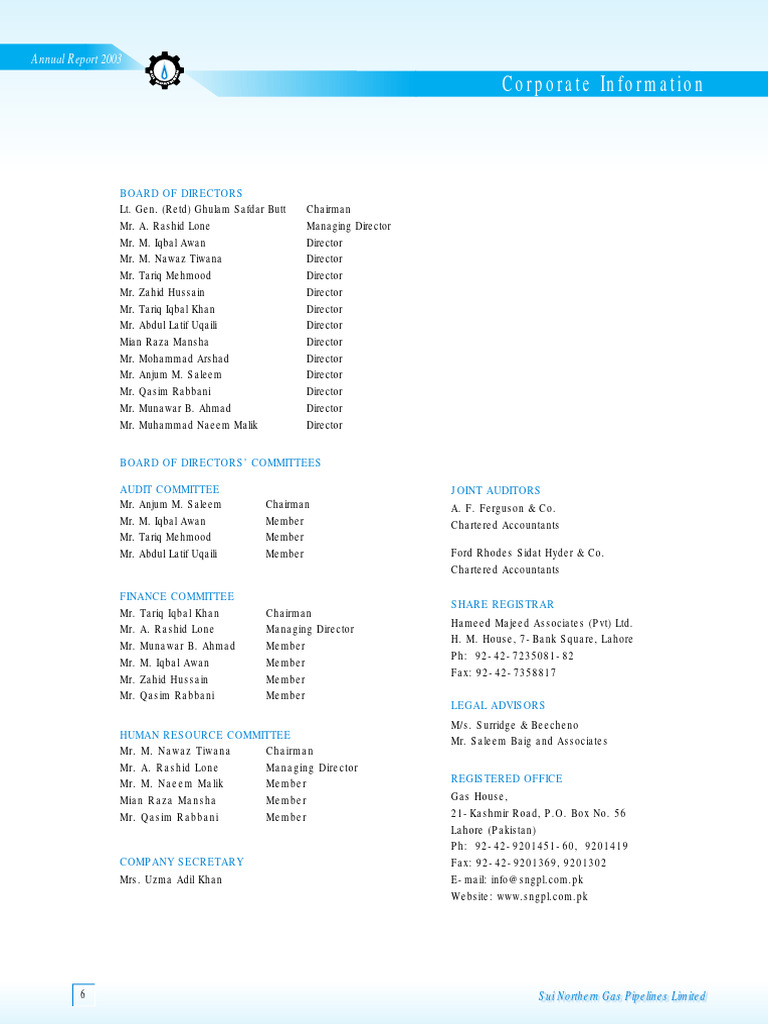 AR2003 | PDF | Dividend | Revenue