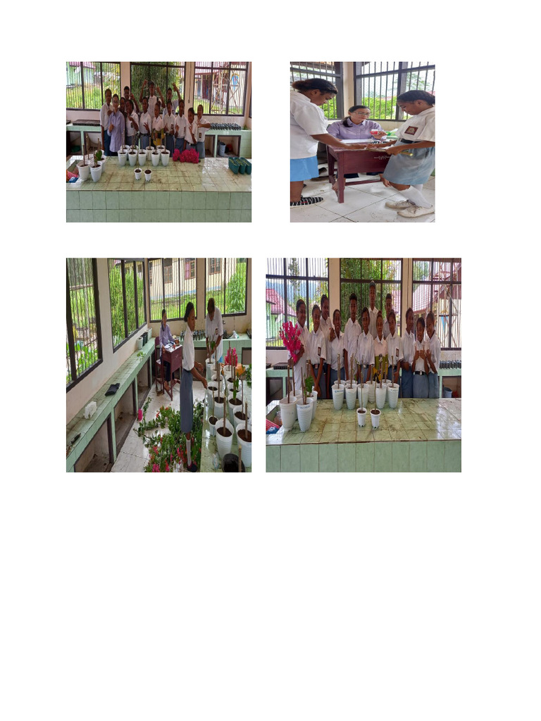 Foto Praktek Kerja Stek Bougenvil Pdf