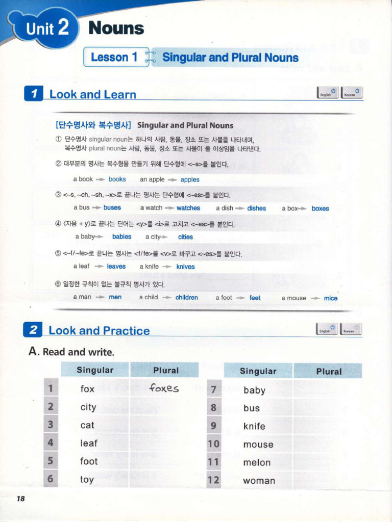 SING + PRU NOUNS WORKBOOK | PDF | Plural | Language Families