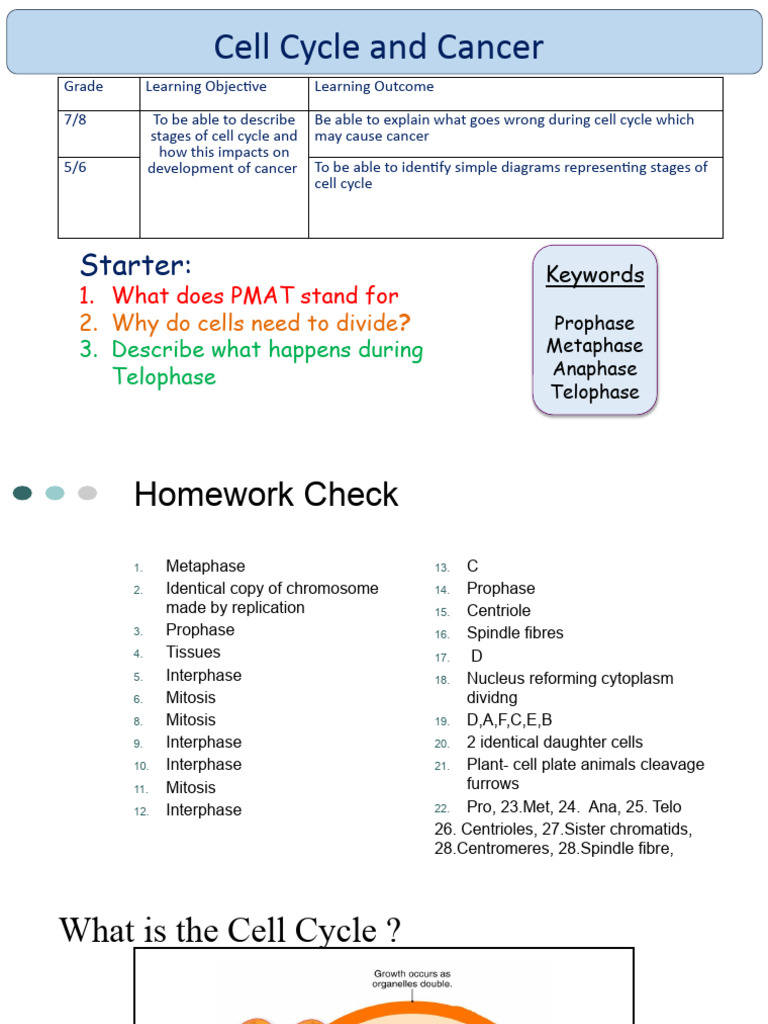 U4_Lesson_6_Cell_Cycle | PDF | Cell Cycle | Mitosis