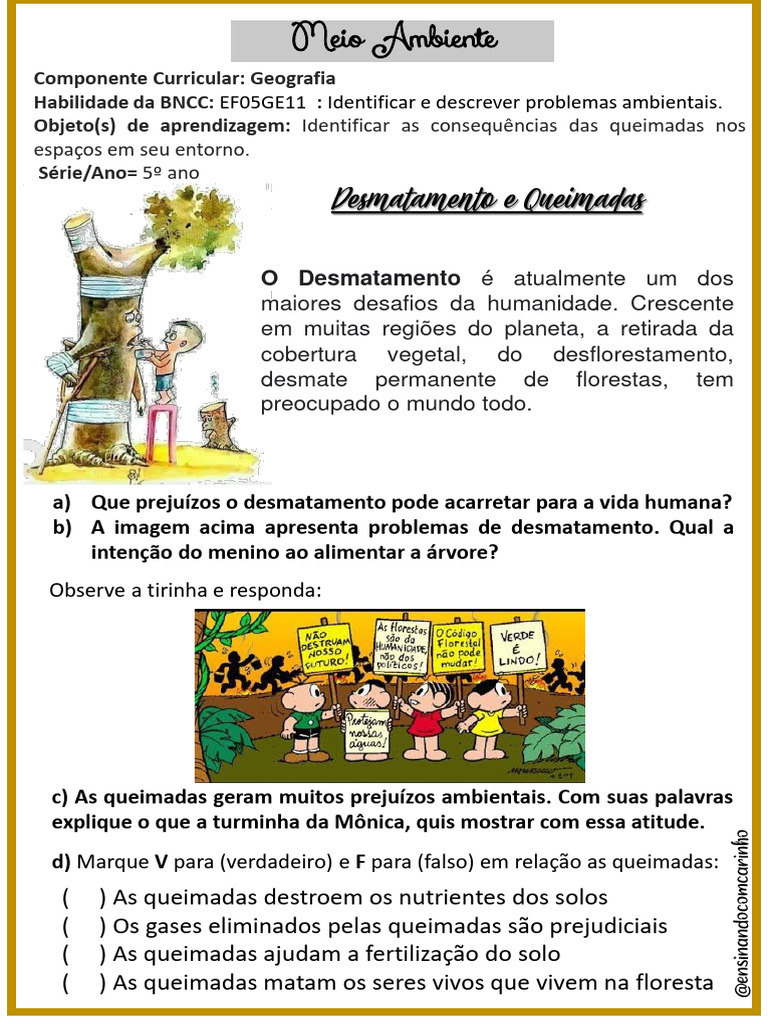 Atividade Meio Ambiente Queimadas e Desmatamento | PDF