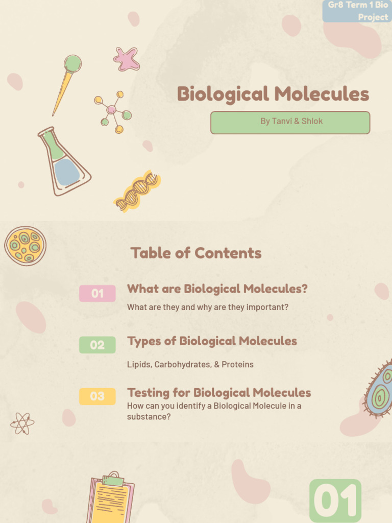 Understanding Biological Molecules | PDF | Carbohydrates | Biomolecules