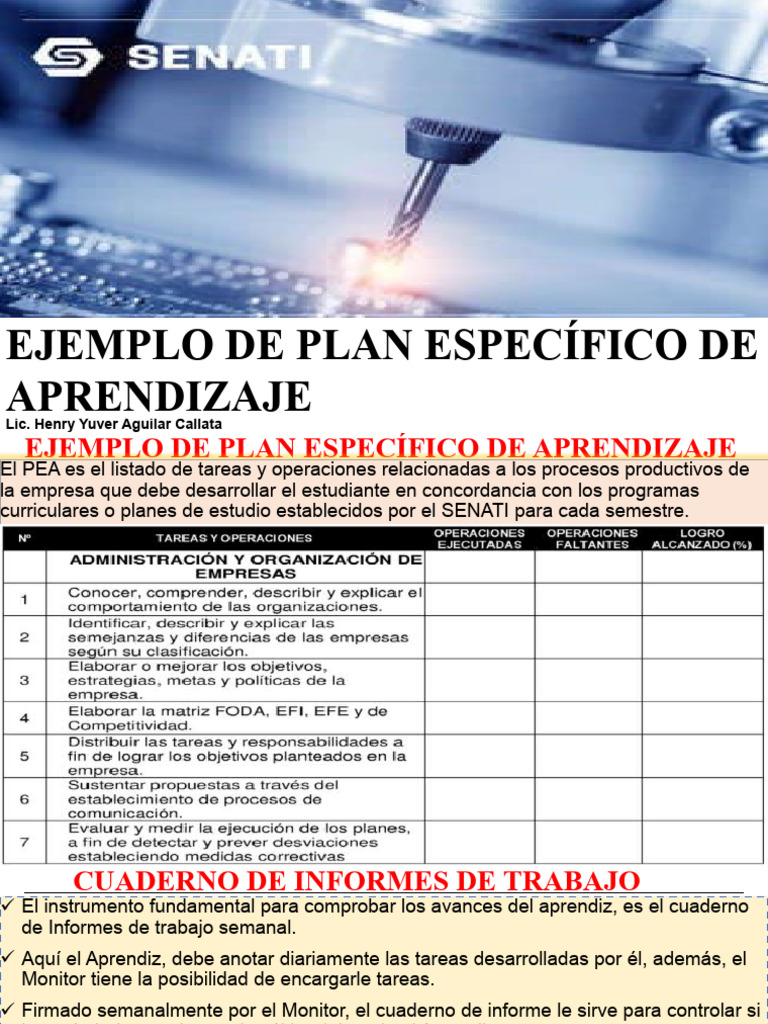 EJEMPLO DE PLAN ESPECÍFICO DE APRENDIZAJE | PDF