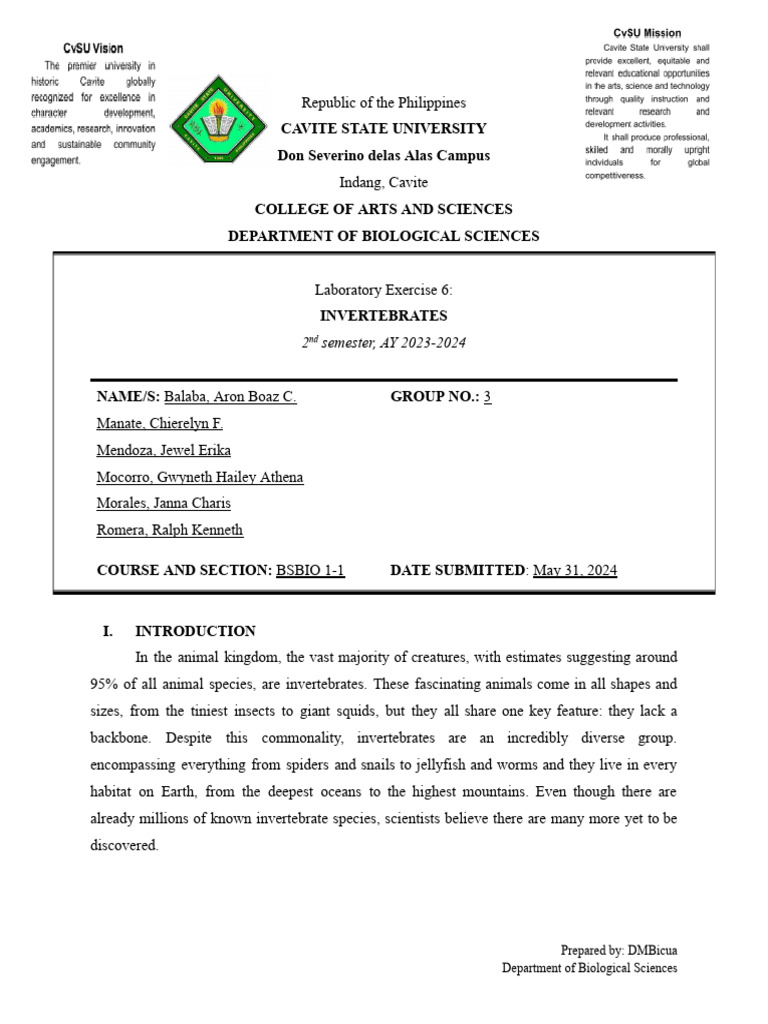 GROUP 3 - Lab Activity #6 - Invertebrates | PDF | Invertebrate | Spider