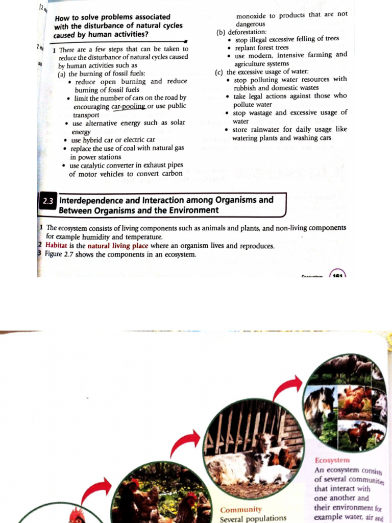 Science C2 Part 2 Pdf