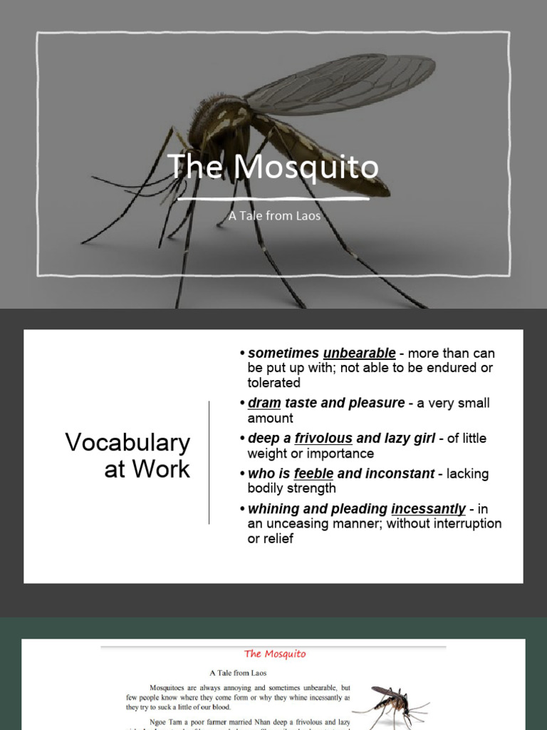 Lao Folktale: The Mosquito's Lesson | PDF | General Fiction