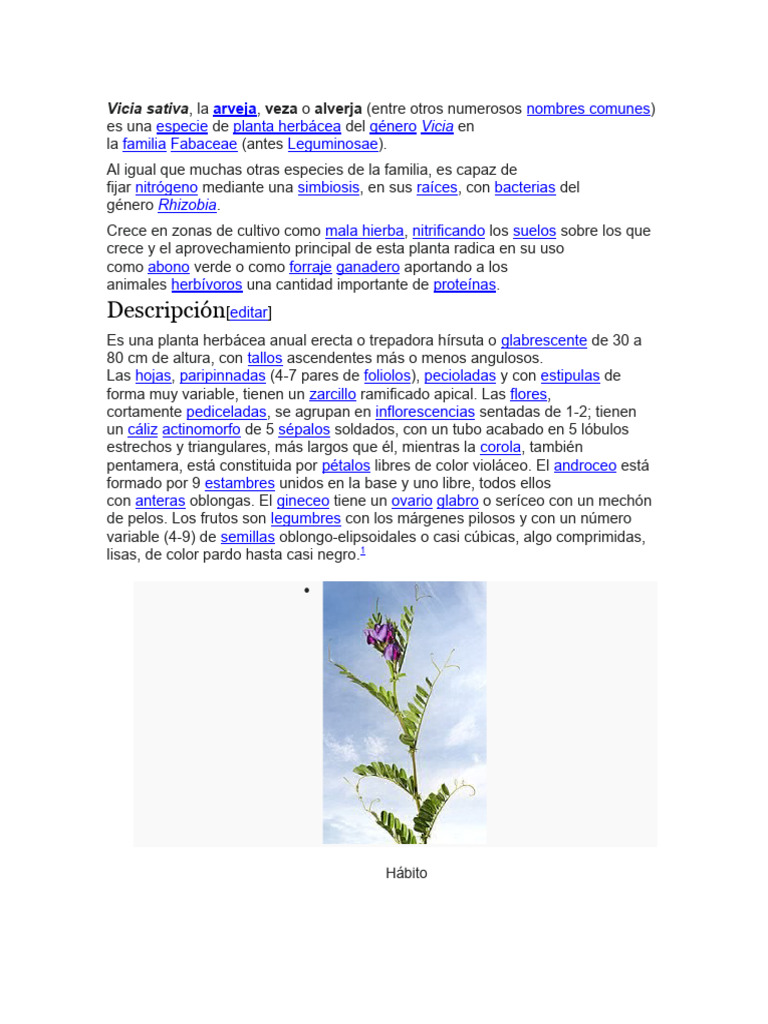 Alverja | PDF | Cultivos | Horticultura