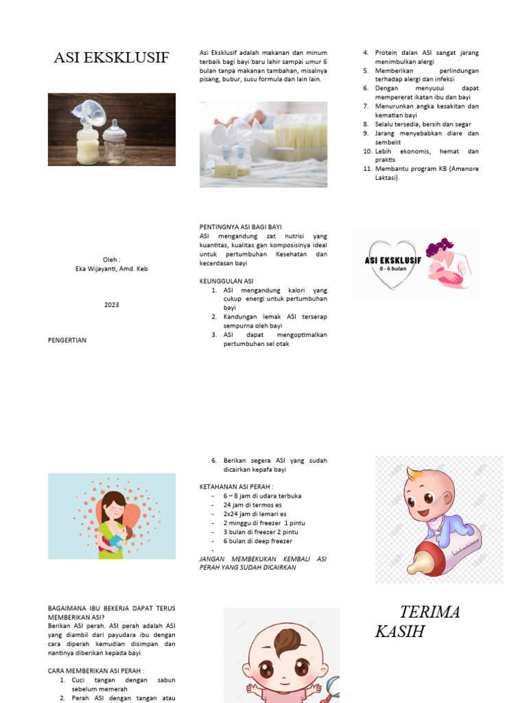 Leaflet Asi Eksklusif | PDF