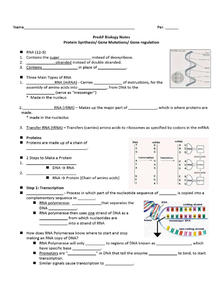 GR 12 Prot Synthesis Worksheet | PDF