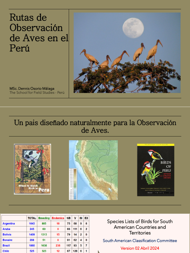 Rutas de Observacion de Aves | Descargar gratis PDF | Aves | Ornitología