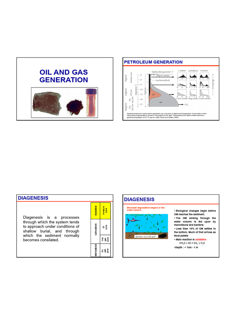 Hydrocarbon Generation Processes Explained | PDF | Petroleum | Natural ...