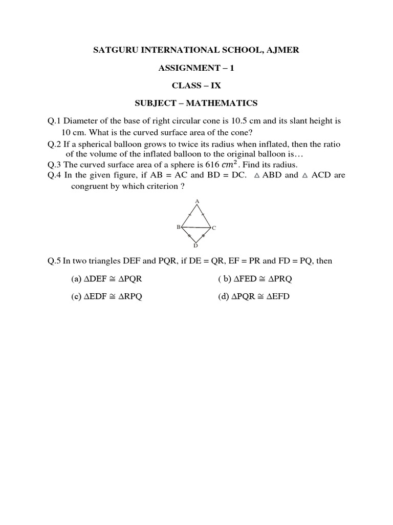 Class IX Math Assignment Questions | PDF